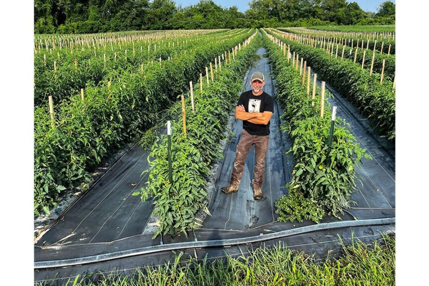 The Secrets Behind Atlas Farm’s Recipe for Resilience - Growing Produce