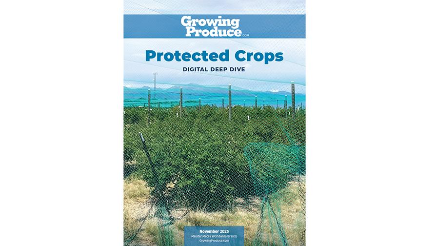 Digital Deep Dive: Your Inside Guide to Protected Crops - Growing Produce