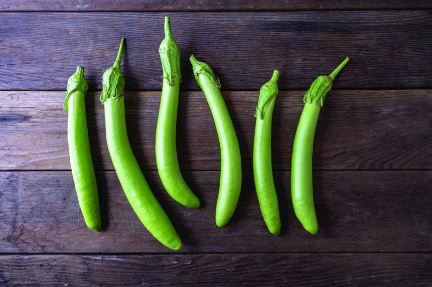 19 Excellent Eggplant Varieties You Should Know and Grow - Growing Produce