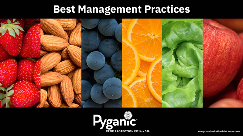 Getting the Most Out of Pyganic®: Best Practices for Organic Pest ...