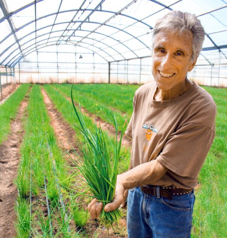 How Jacobs Farm del Cabo Grows Success From the Ground Up - Growing Produce
